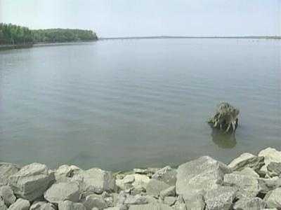 82-year-old man dies after falling out of boat while fishing in Miami ...
