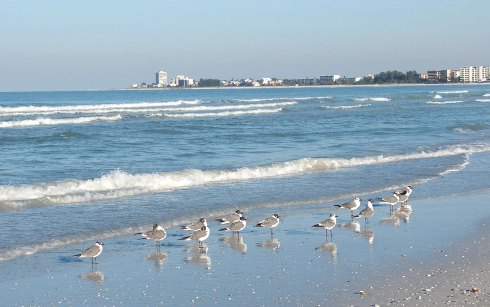 Florida’s hidden beaches and book retreats trend for summer