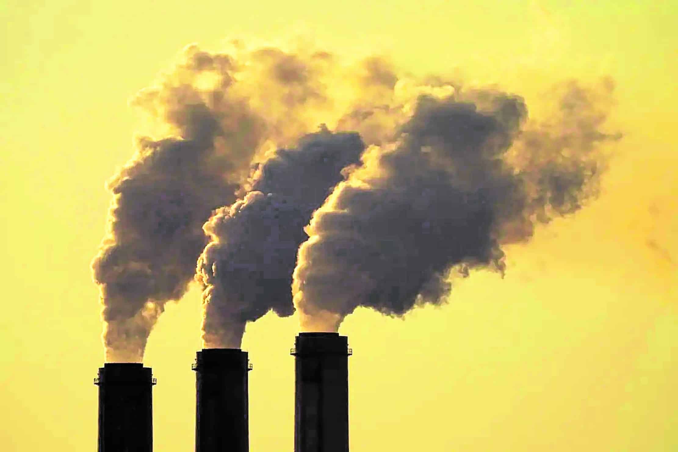Eco-activists, consumers call for faster shift to renewables