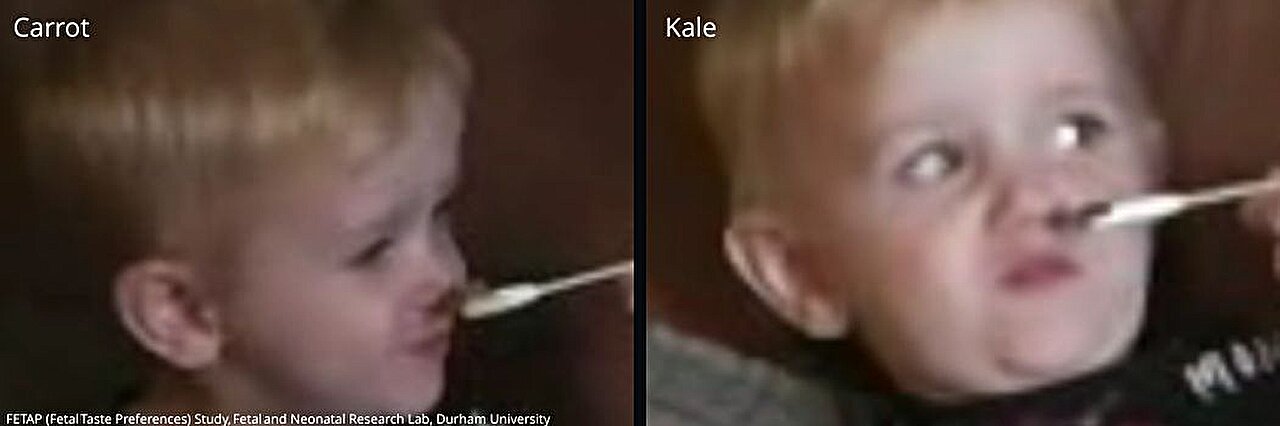 Kids remember veggie scents from womb, study finds