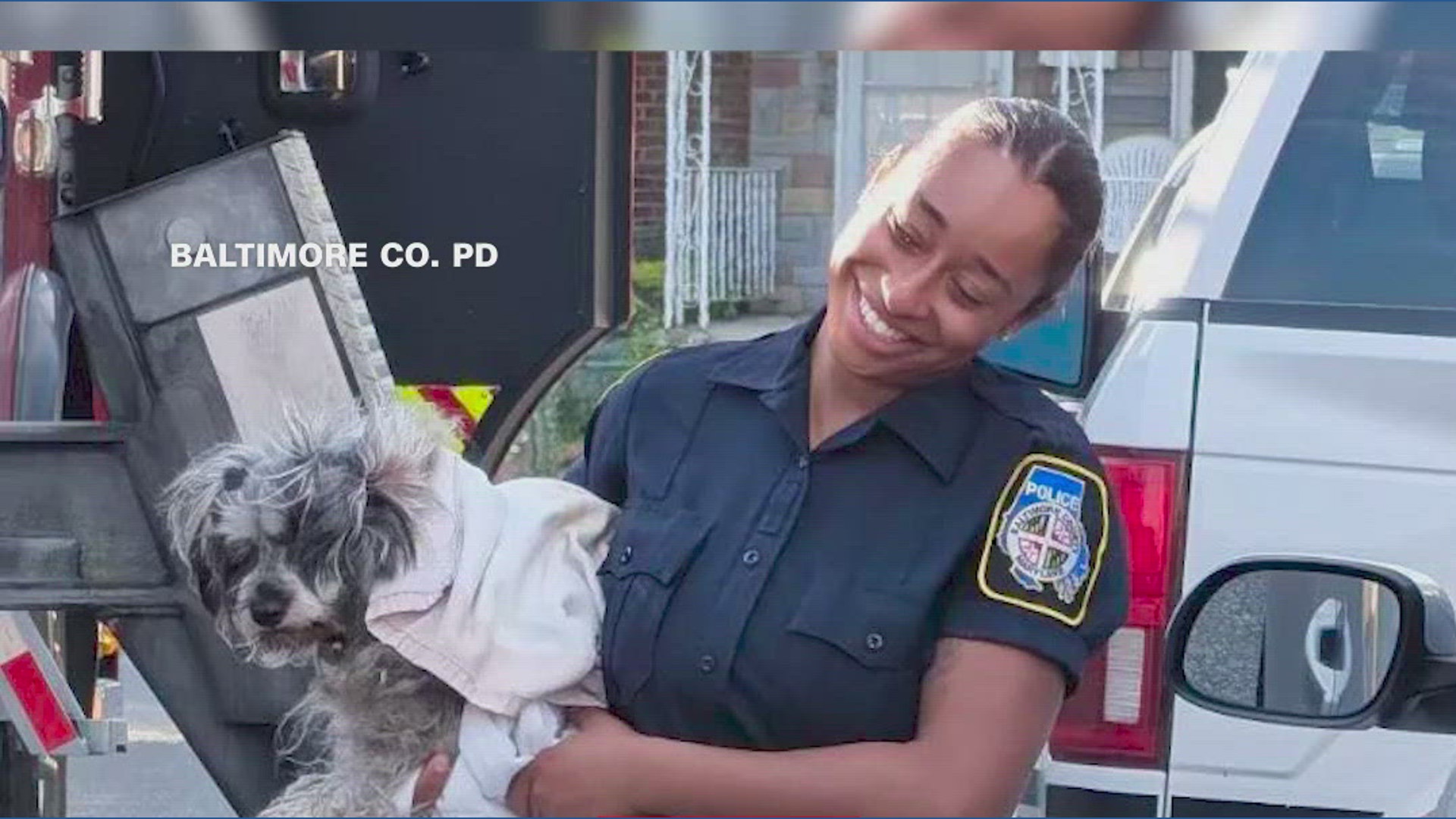 Stranded dog rescued from rooftop