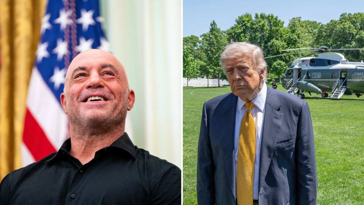 Joe Rogan raises eyebrows by describing what he thinks would happen if ...