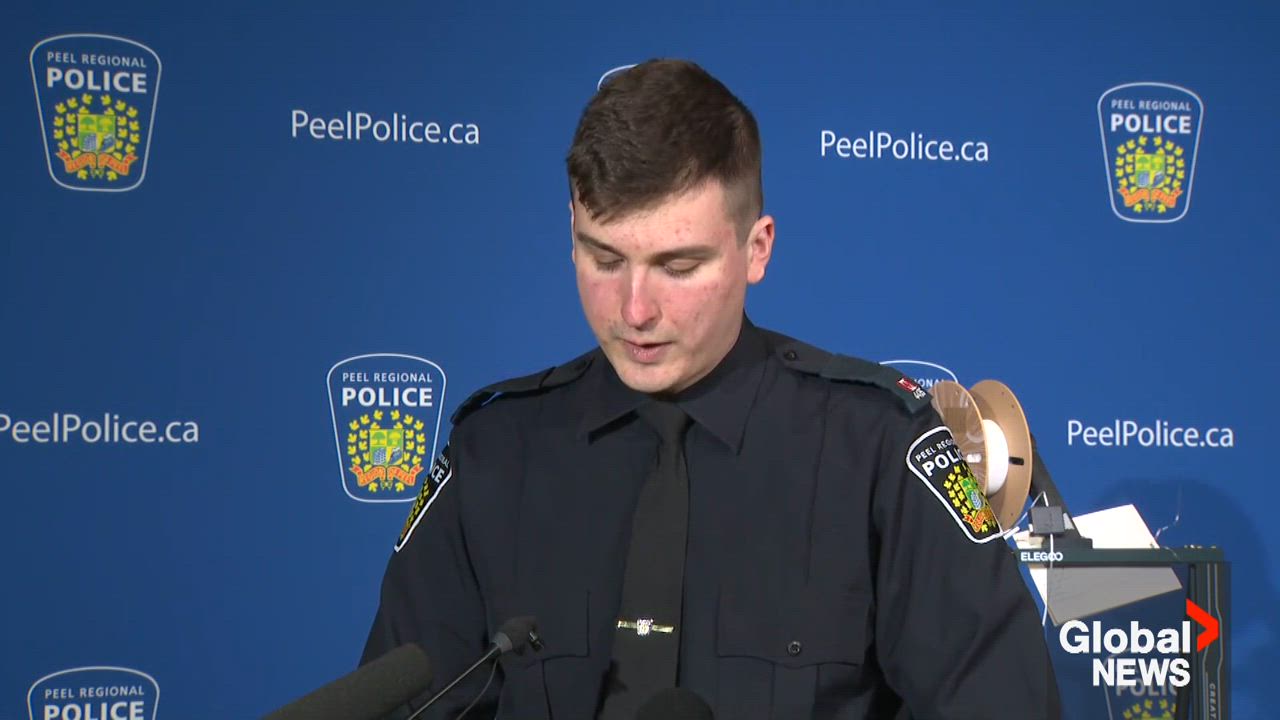 Police arrest 2 in fake licence plate investigation linked to Canada ...