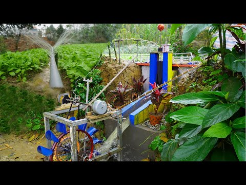 Simple steps for vegetable irrigation