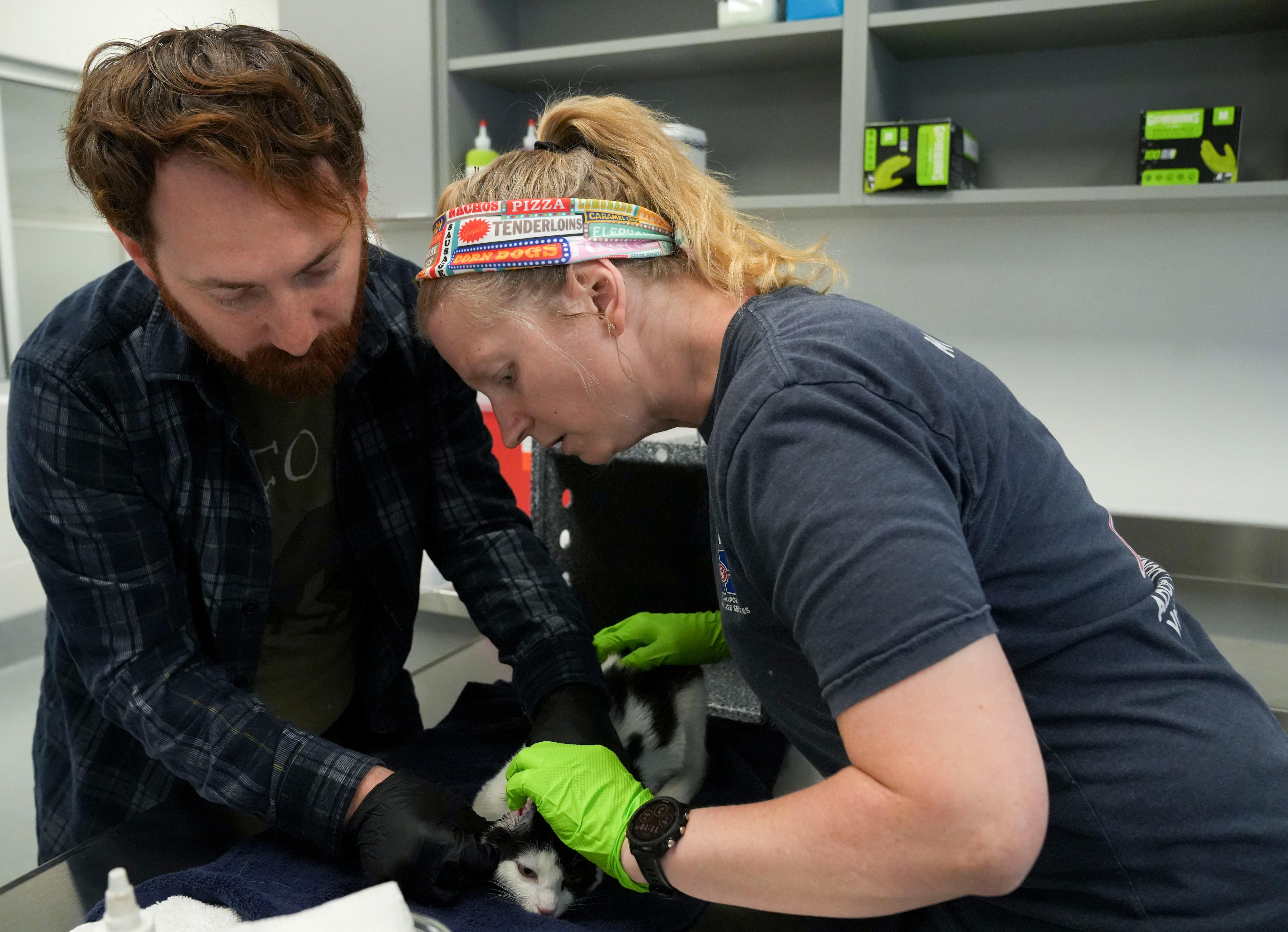 New Indianapolis animal shelter opens up on city's southeast side