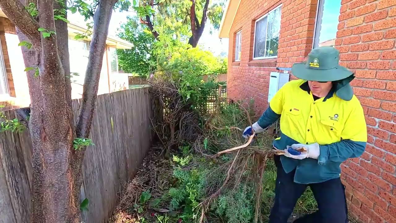 From start to finish - complete garden restoration (14 hours of work)!