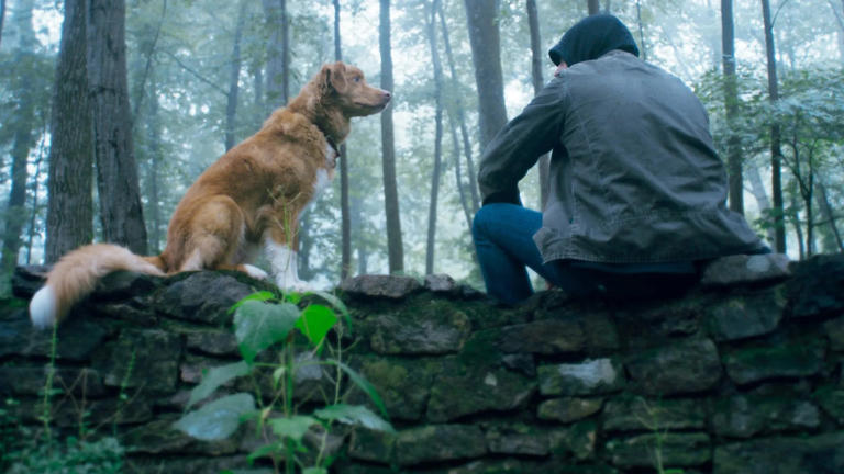 Reasons why ‘Good Boy’ is a masterpiece for all Hachi and ‘Old Yeller’ fans