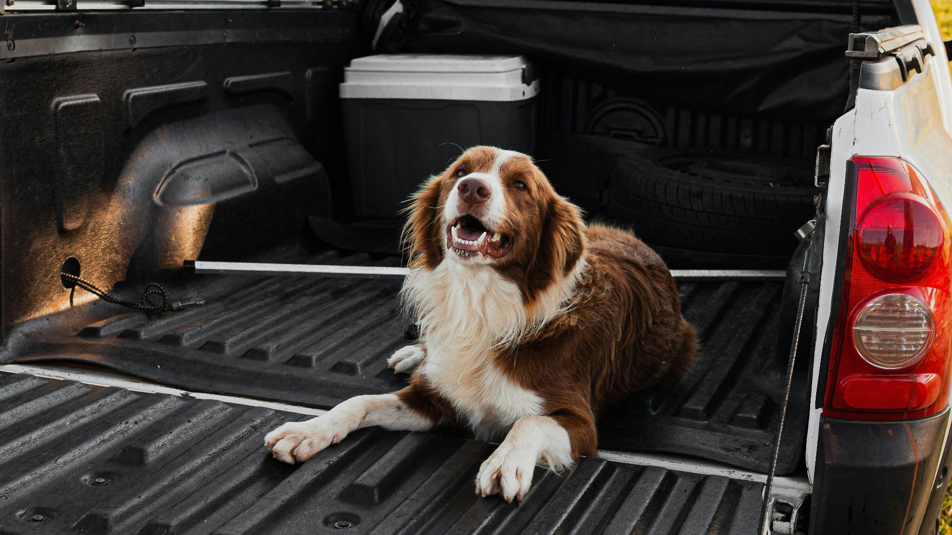 10 choses à ne jamais mettre dans la benne de votre pick-up et 10 qui ...