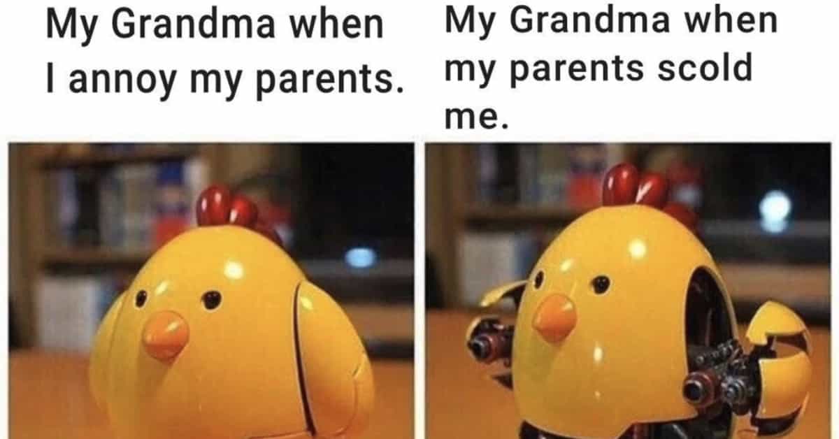 Funny memes about supportive grandparents