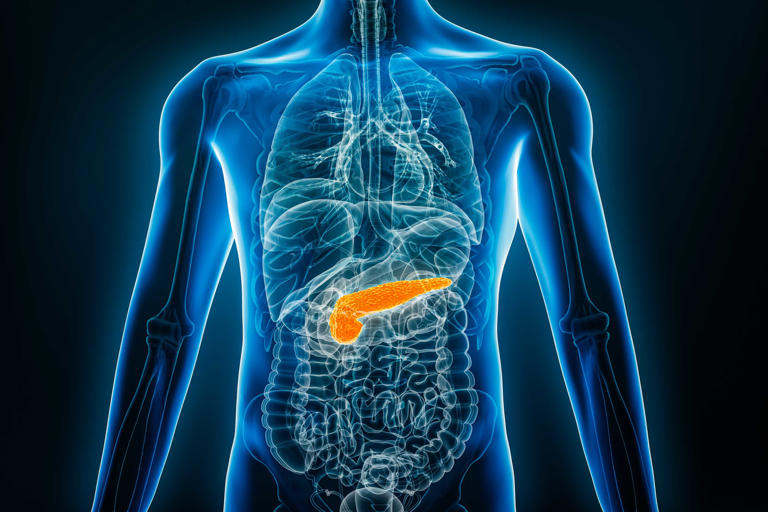 New pancreatic cancer drug sees patients live almost twice as long in ...