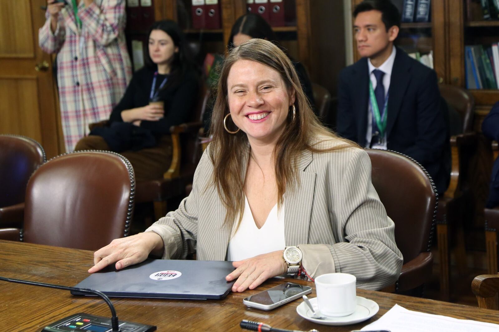 UDI se aprovecha de la pugna Squella-Irarrázaval y compite con ...