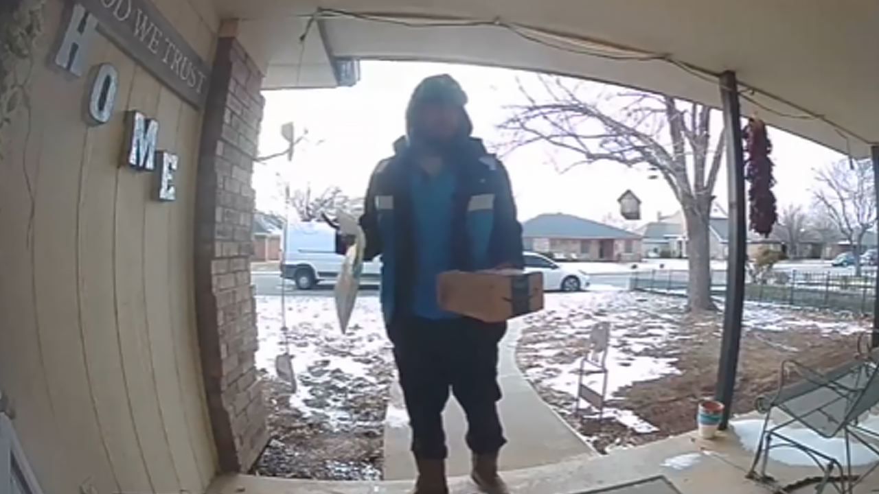 Dog breaks window screen during delivery arrival