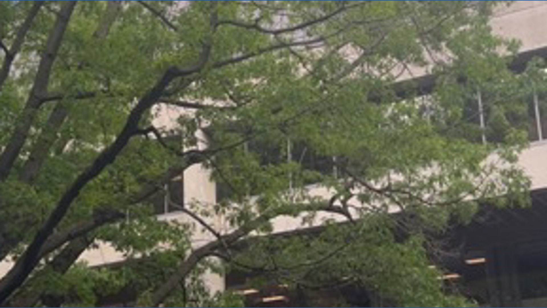 Multnomah Athletic Club partially reopens after car bombing nearly two ...