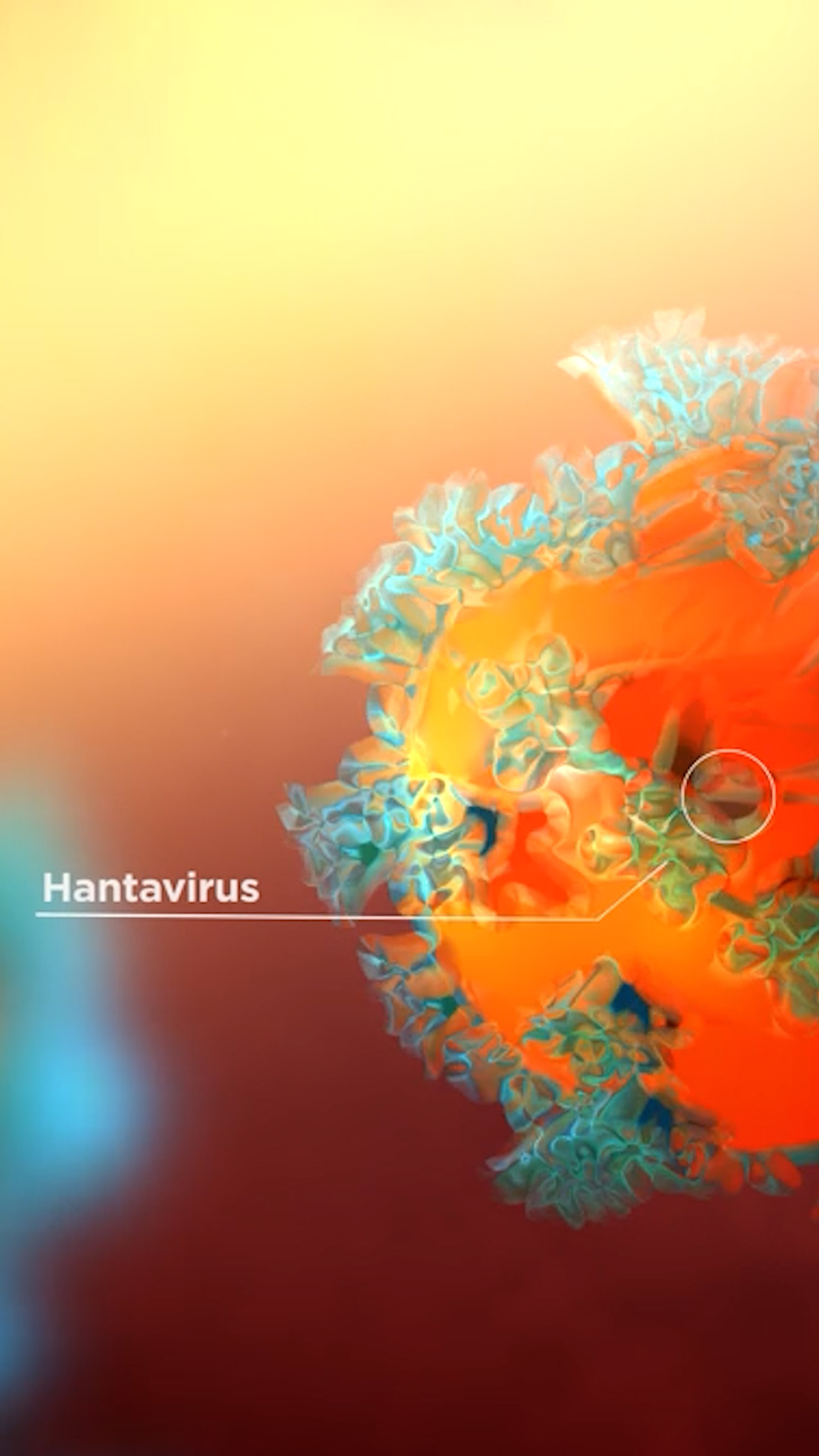 From the expert: What’s hantavirus?