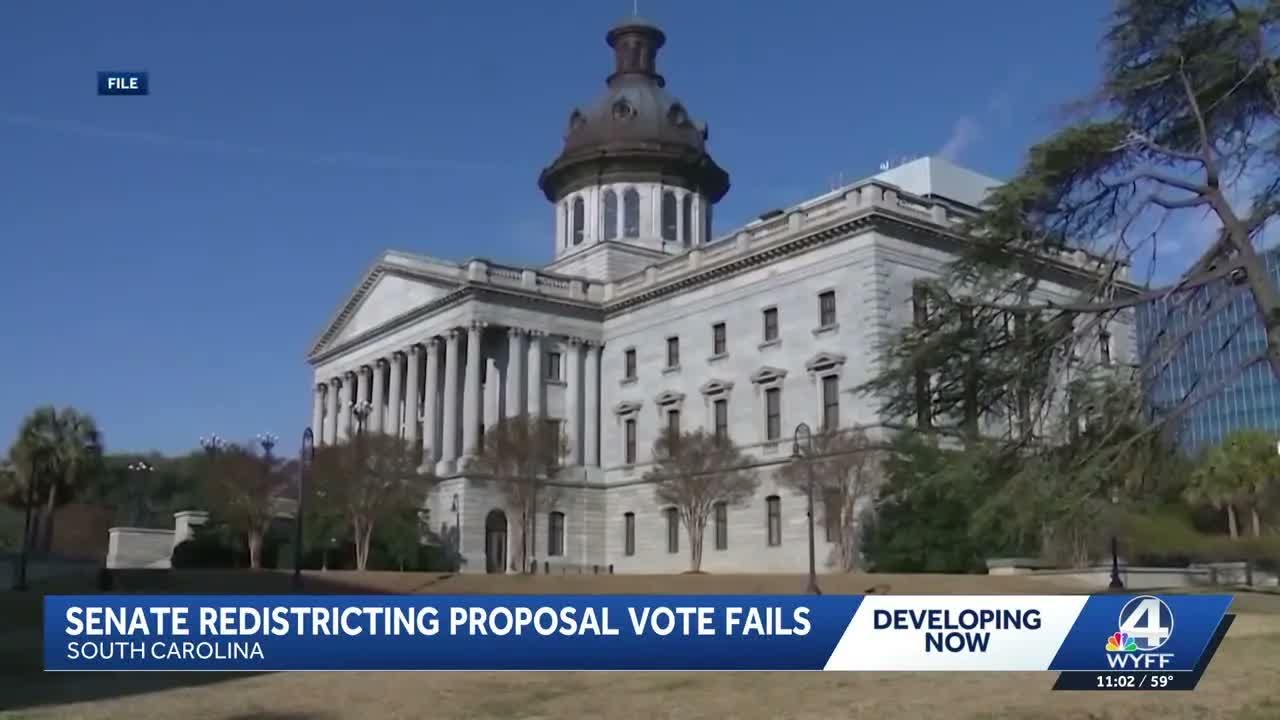 Senate vote to call special session on redistricting fails in South ...
