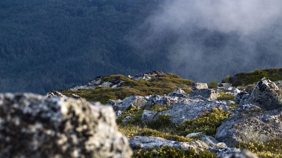Deputies recover body of missing Bothell hiker on Mount Pugh after days ...