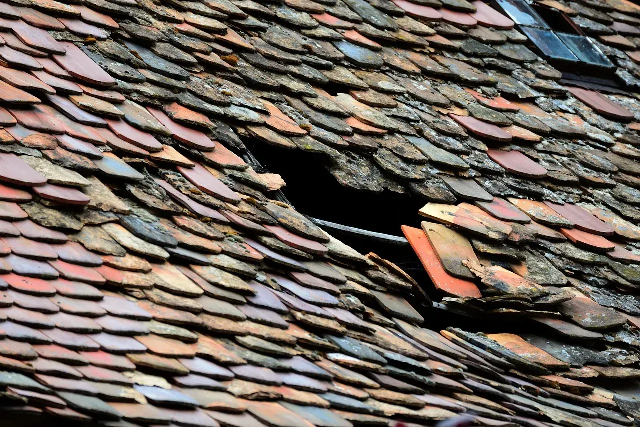 14 things home inspectors say they notice in almost every home