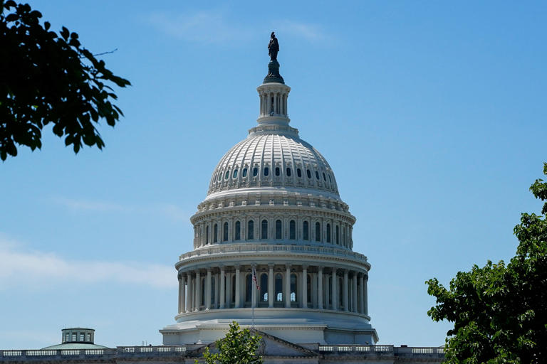 Rand Paul's son accused of making antisemitic remarks to US rep