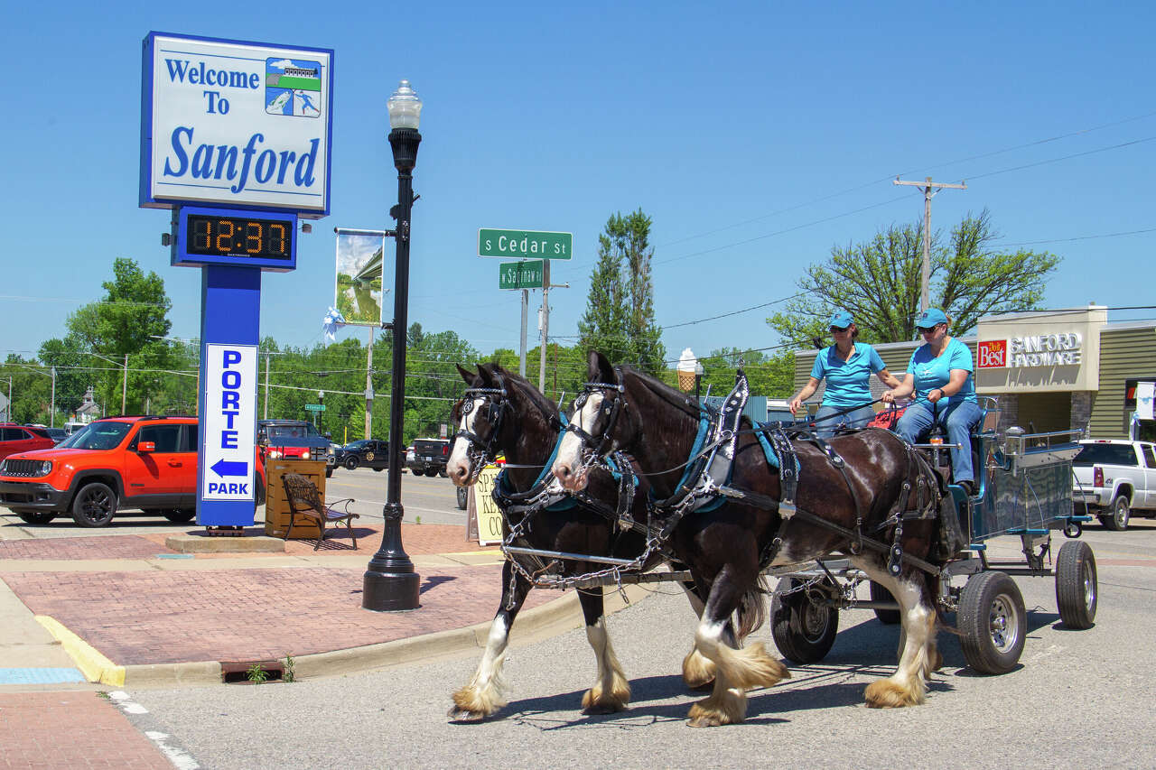 Sanford to kick off sesquicentennial celebration with Lumberjack Picnic