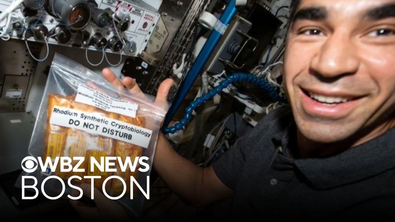What happens to everyday materials when they leave Earth? New research ...