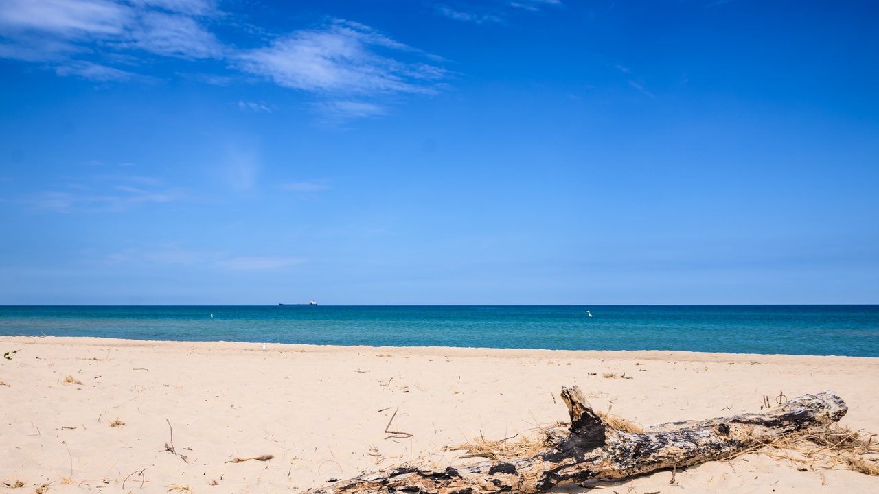 Sand dunes, wild orchids, and Chicago skyline views: Indiana’s secret ...
