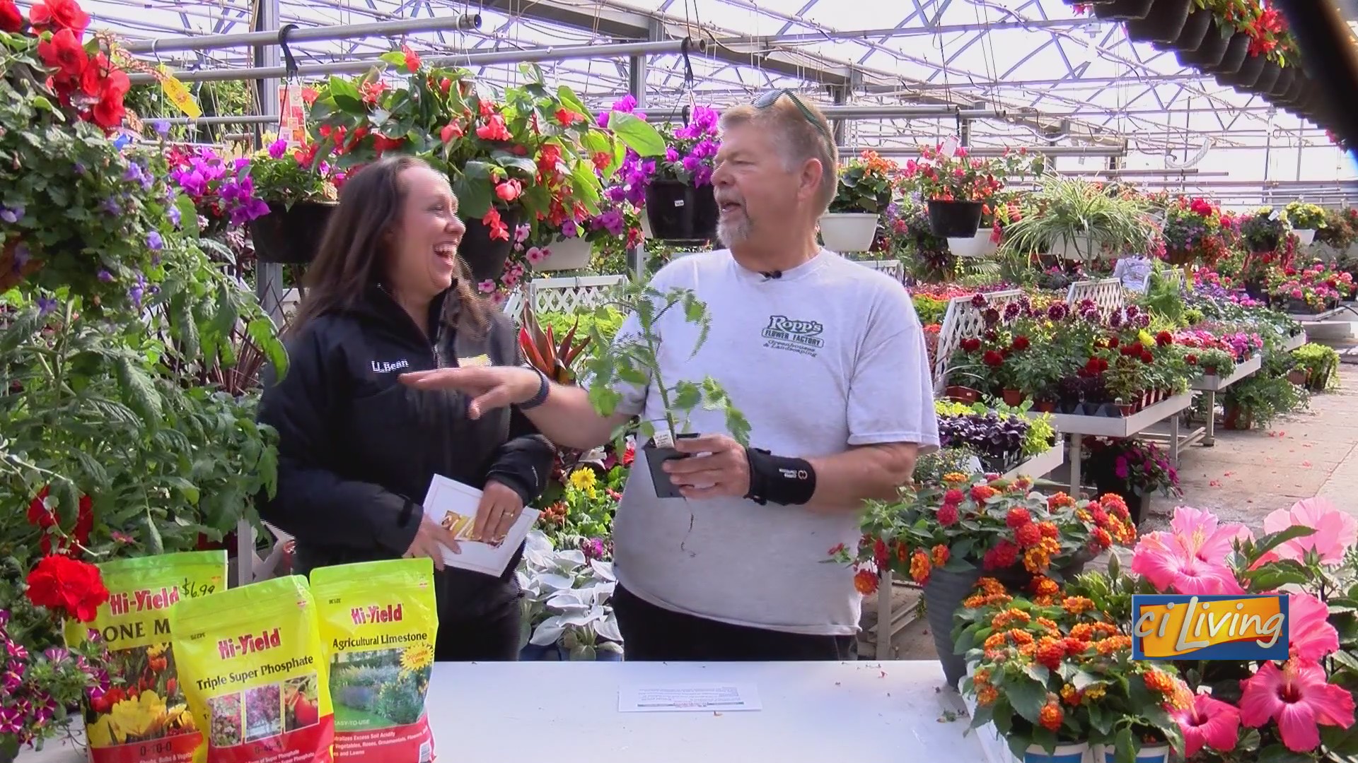 Transform your yard with Ropp’s Flower Factory
