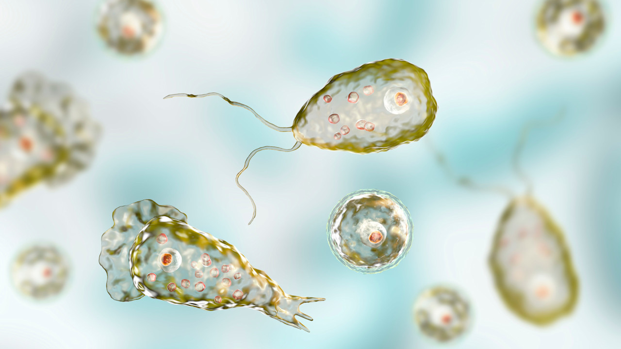 Scientists detect "brain-eating amoeba" in 3 iconic parks