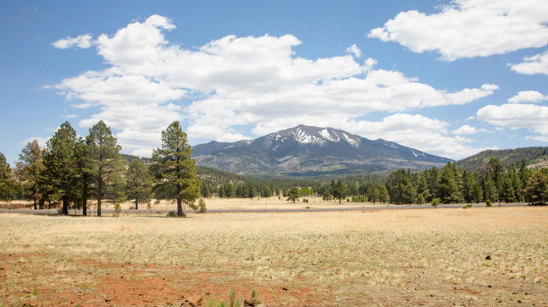 A rural suburb on the edge of Arizona's largest ponderosa pine forest ...