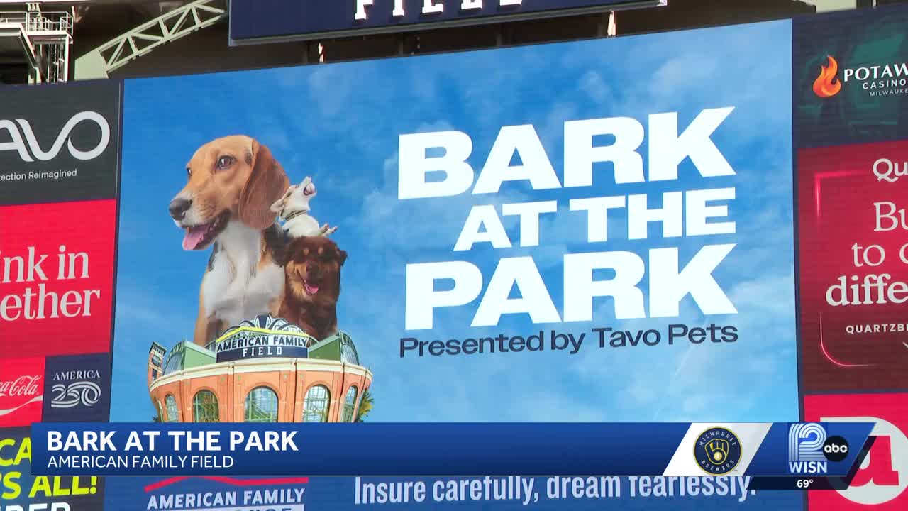Bark at the park in American Family Field