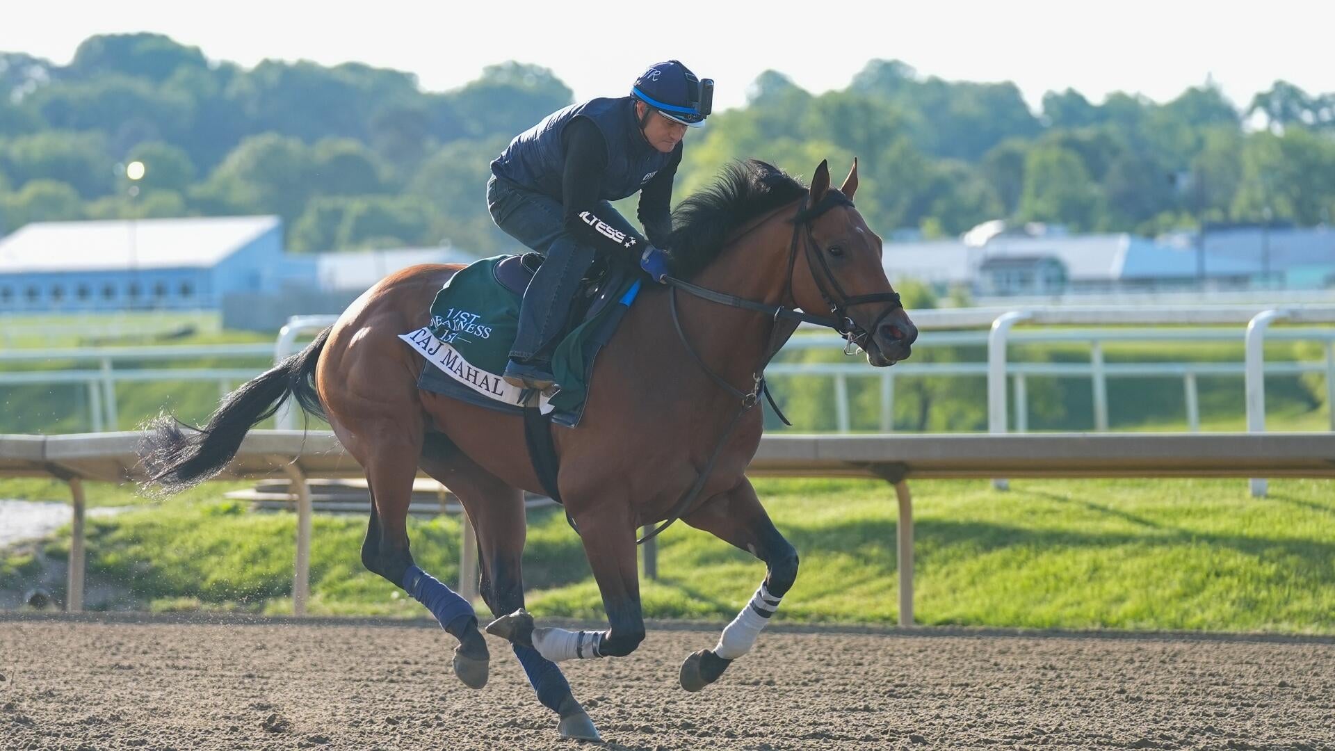 2026 Preakness Stakes predictions, odds, field, contenders: Picks from ...