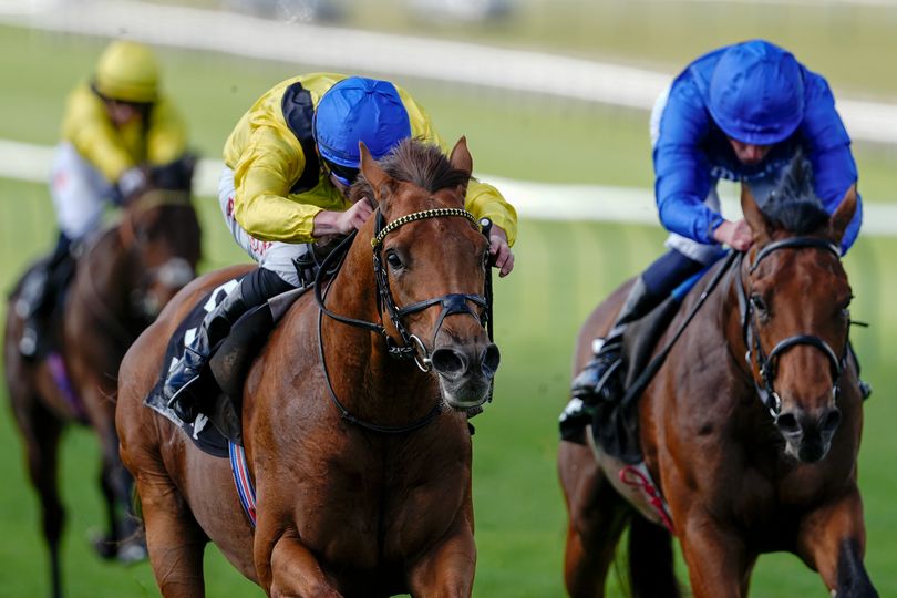 'He will benefit from being stepped up in trip today' – Jason Heavey's ...