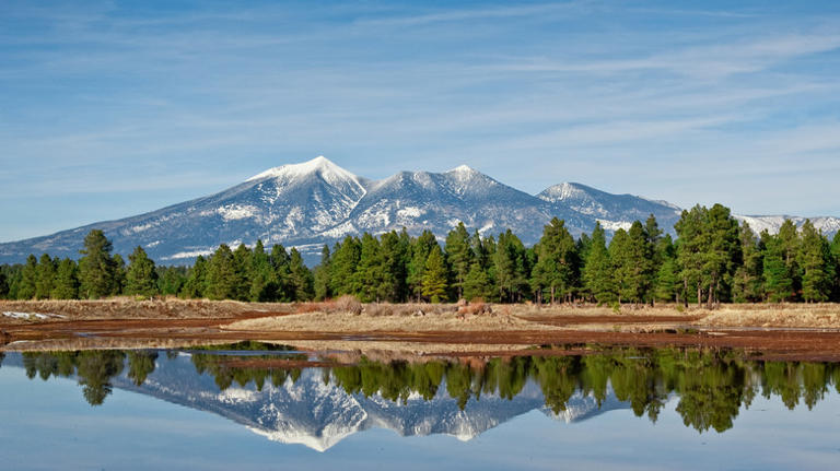 A rural suburb on the edge of Arizona's largest ponderosa pine forest ...