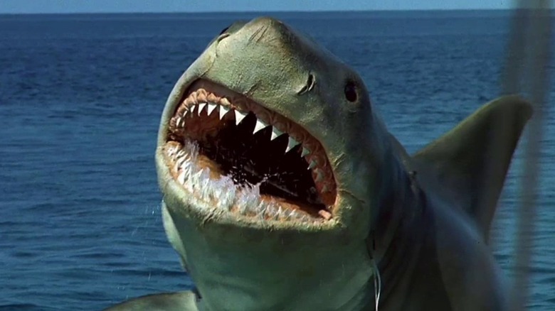 Funny horror movie moments that were supposed to be serious