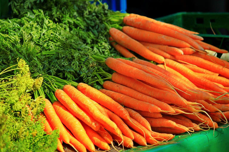 Kids remember veggie scents from womb, study finds