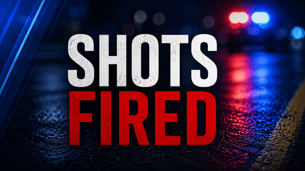 Wilkes-Barre police respond to report of shots fired on Scott Street