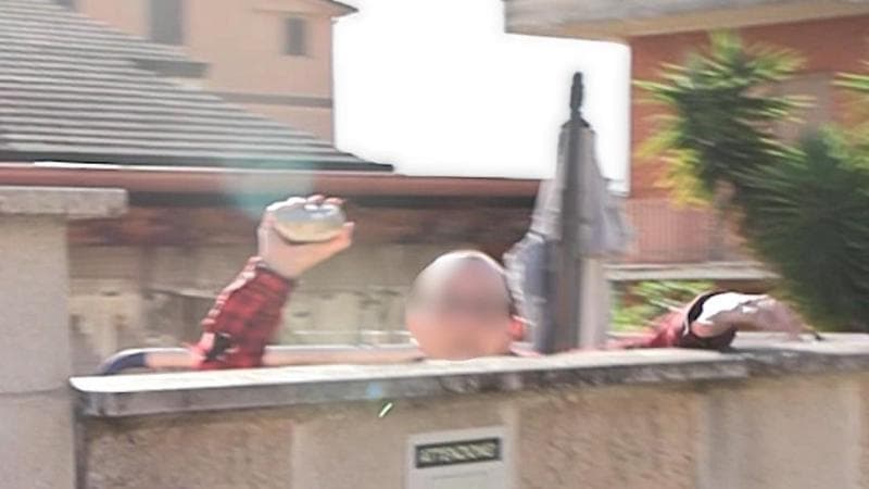 Cagnolino per anni legato alla catena: Rizzi aggredito per aver ...