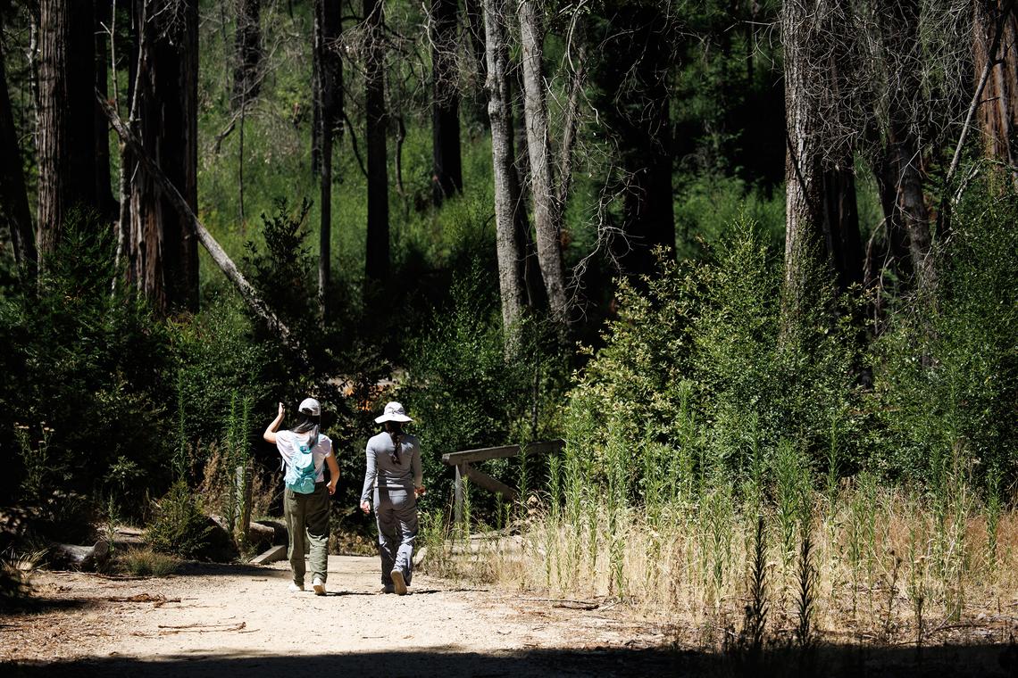 CA state park is top spot for hiking in 2026. Where to go for ...