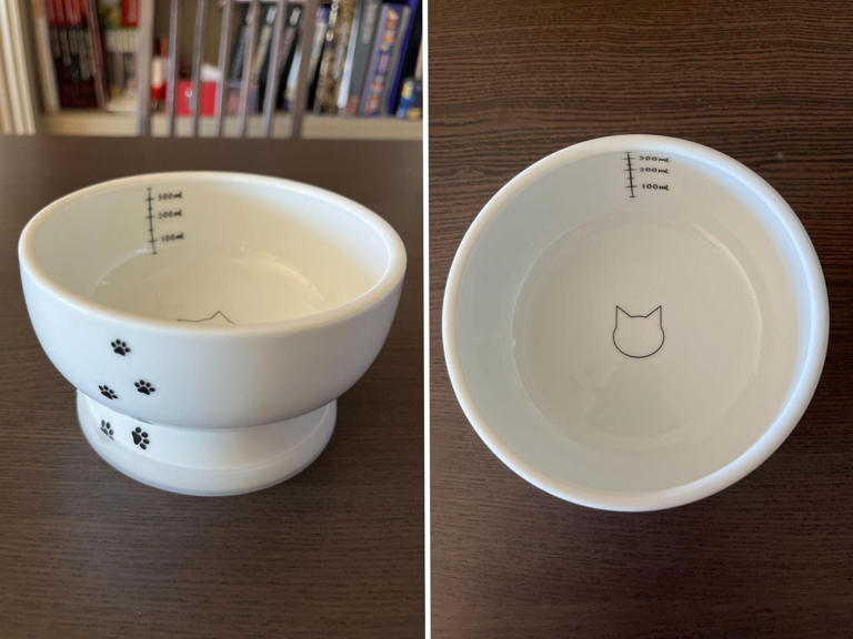 The best cat water bowls