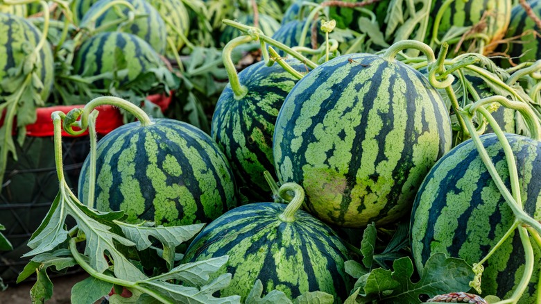 Foods you should never refrigerate