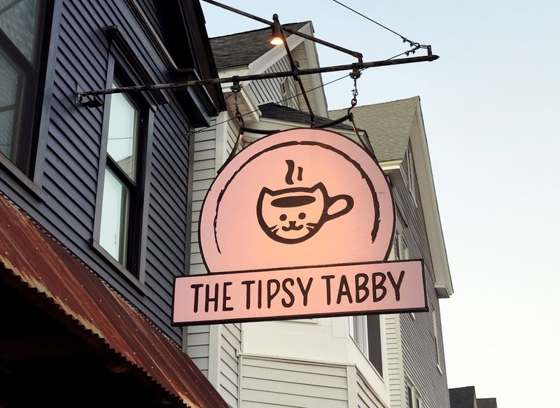 This cozy hideaway in New Hampshire serves coffee with a side of cats