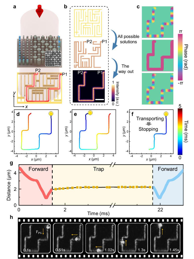 Optical meta‑conveyors enable programmable nanomanipulation along ...