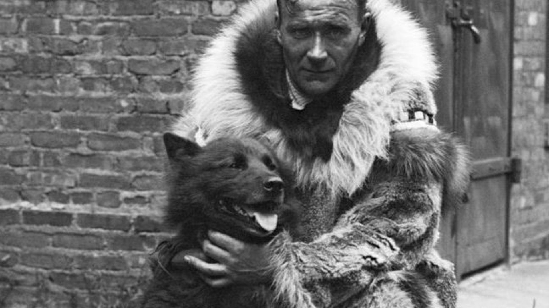 20 animal heroes who changed human history