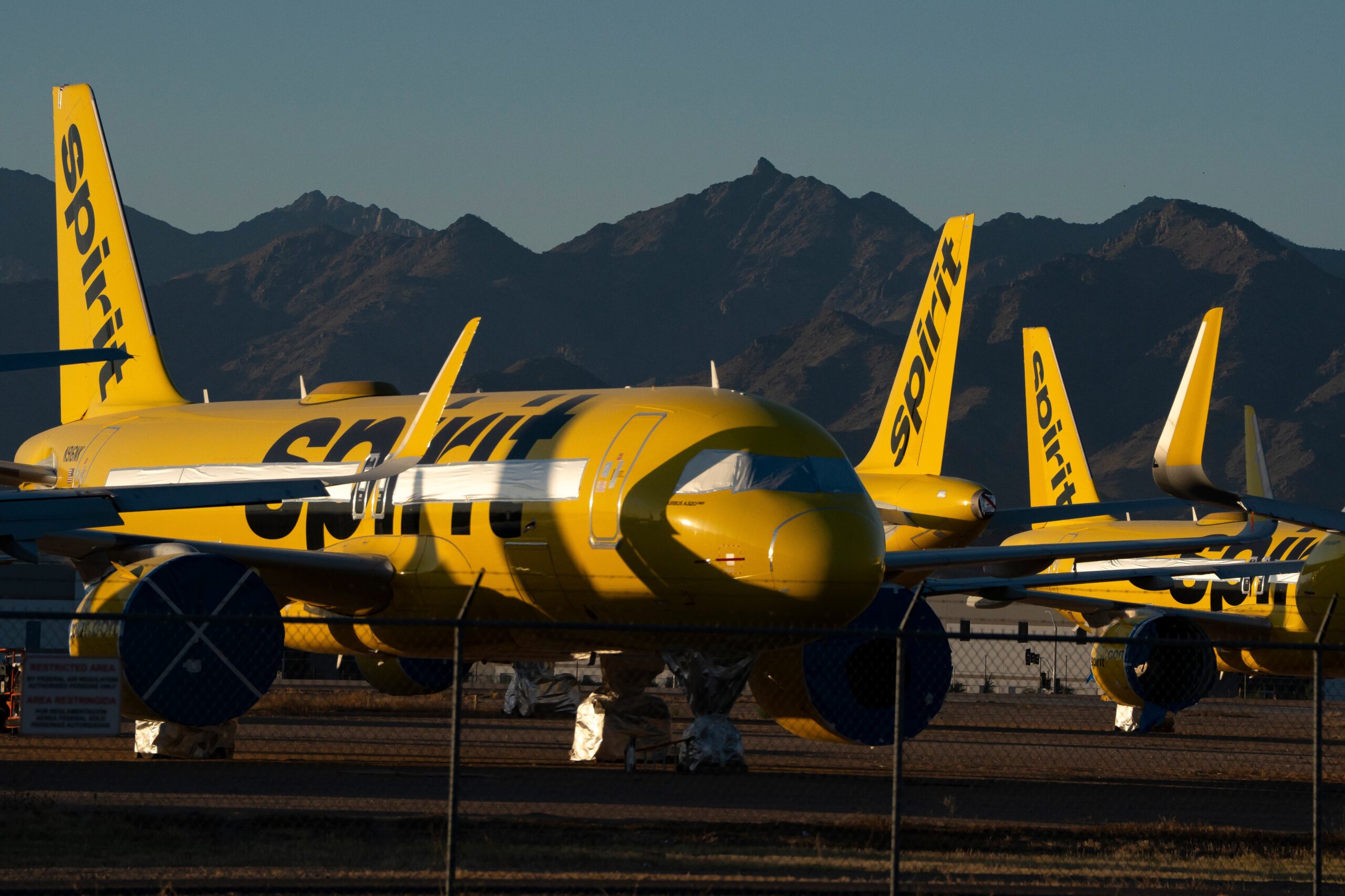 Famous makeup artist gets backlash for mocking former Spirit Airlines ...