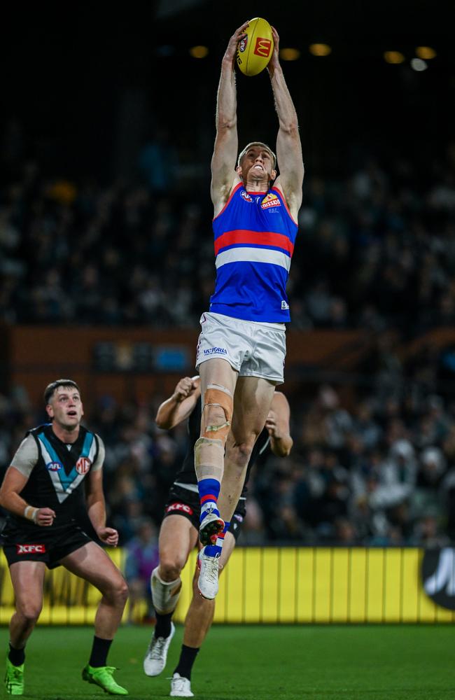 Dogs’ cautious approach with ruckman