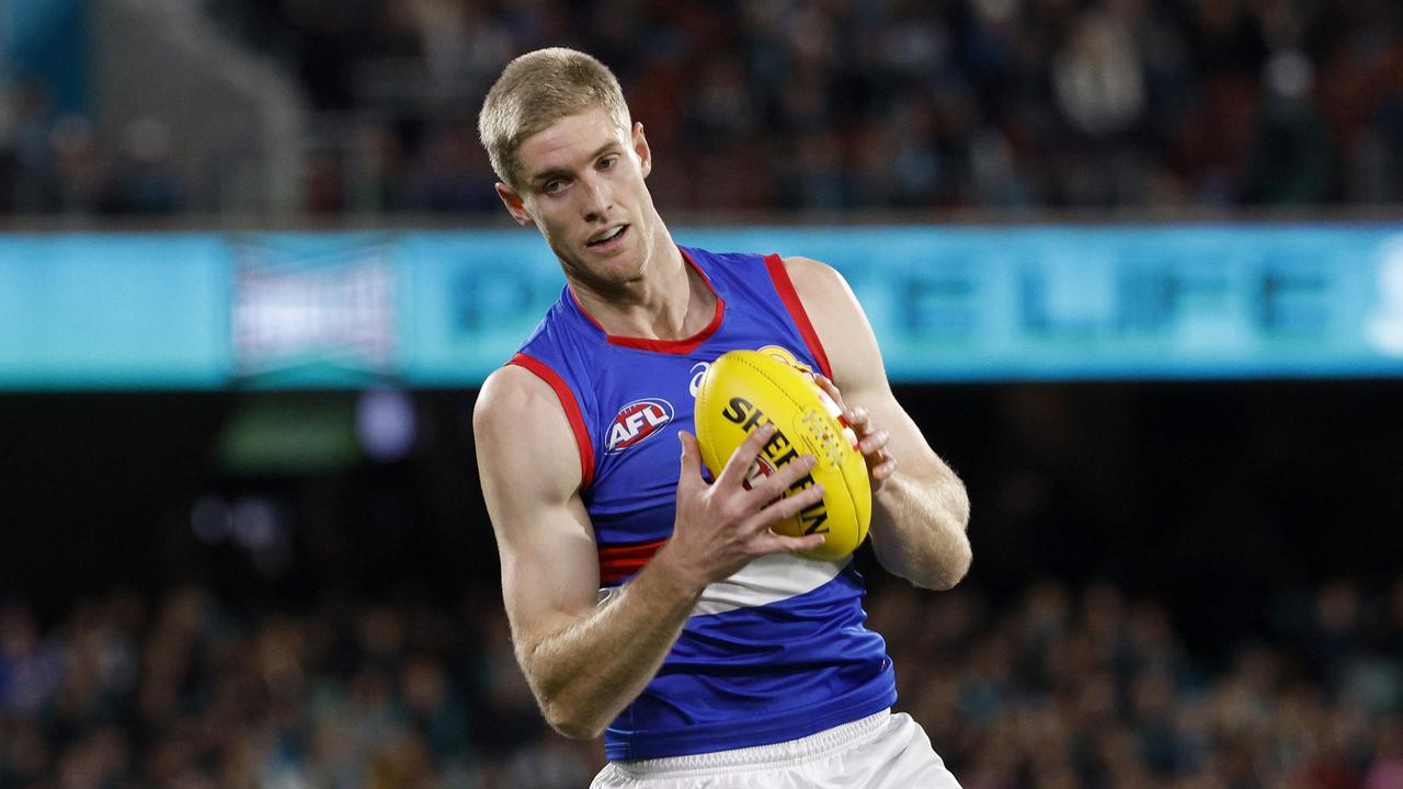 Dogs’ cautious approach with ruckman