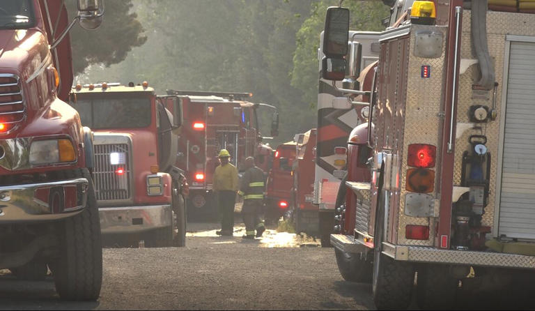 Fire destroys Hagerman home, kills two pets