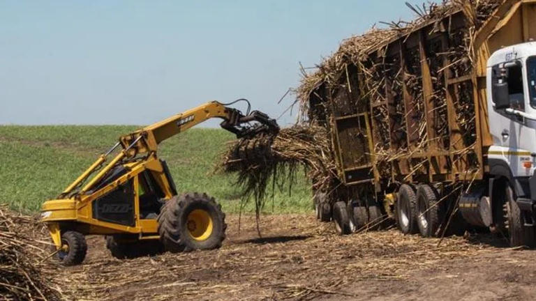 Understanding the Tongaat Hulett crisis: Dumping is killing our sugar ...
