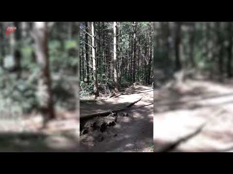 Bike jump attempt ends in hard crash