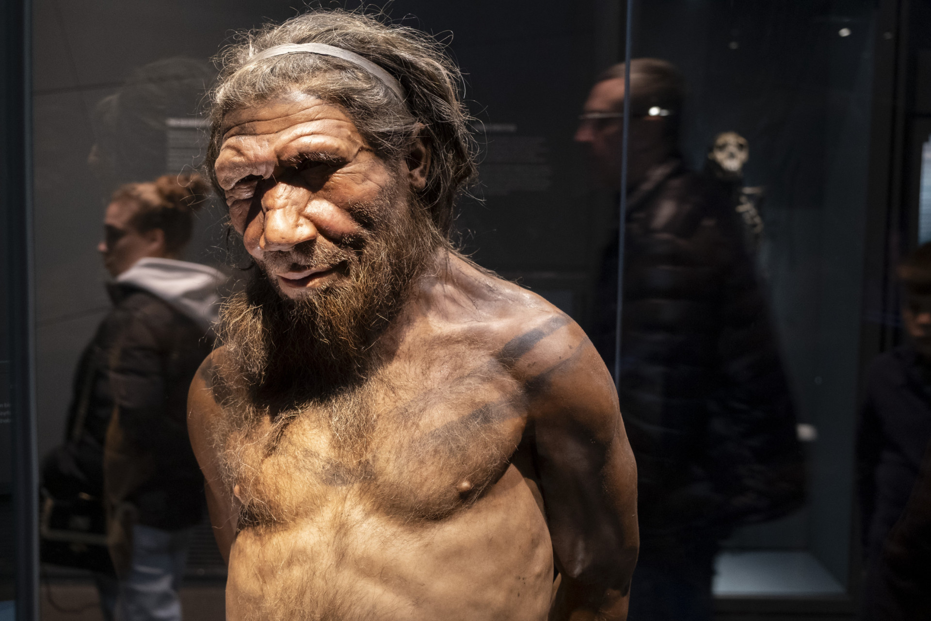 Past human species: How different were they from us?