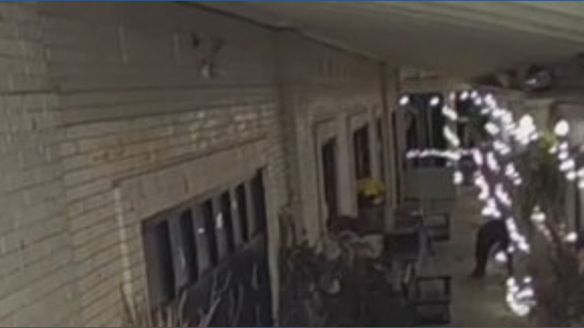 Buffalo woman pleads guilty in case involving kids, restaurant vandalism